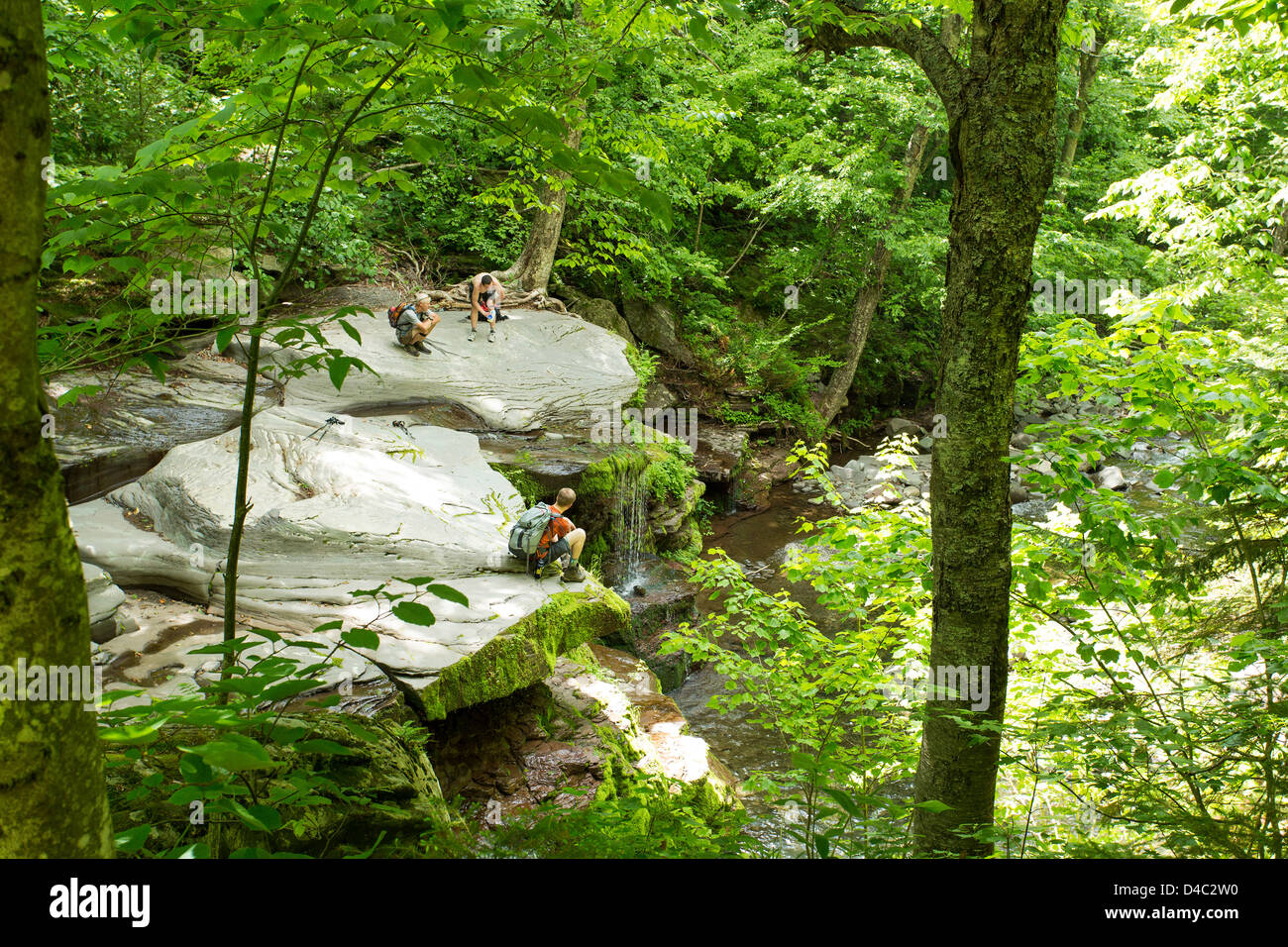 Resting hikers at the Diamond Falls in the Catskill Mountain Region ...