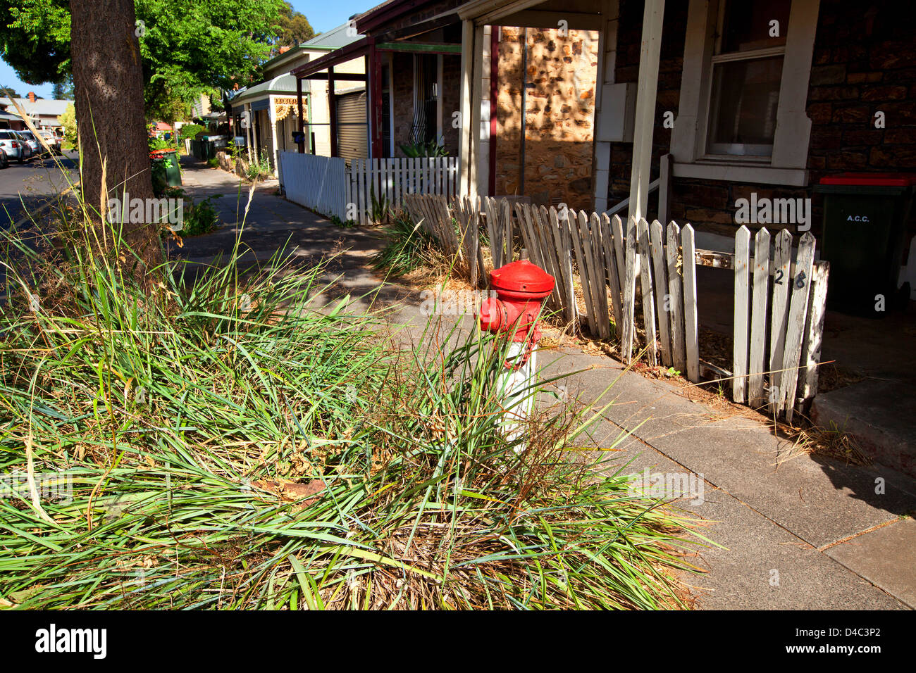 Adelaide inner city suburban street South Australia Stock Photo - Alamy