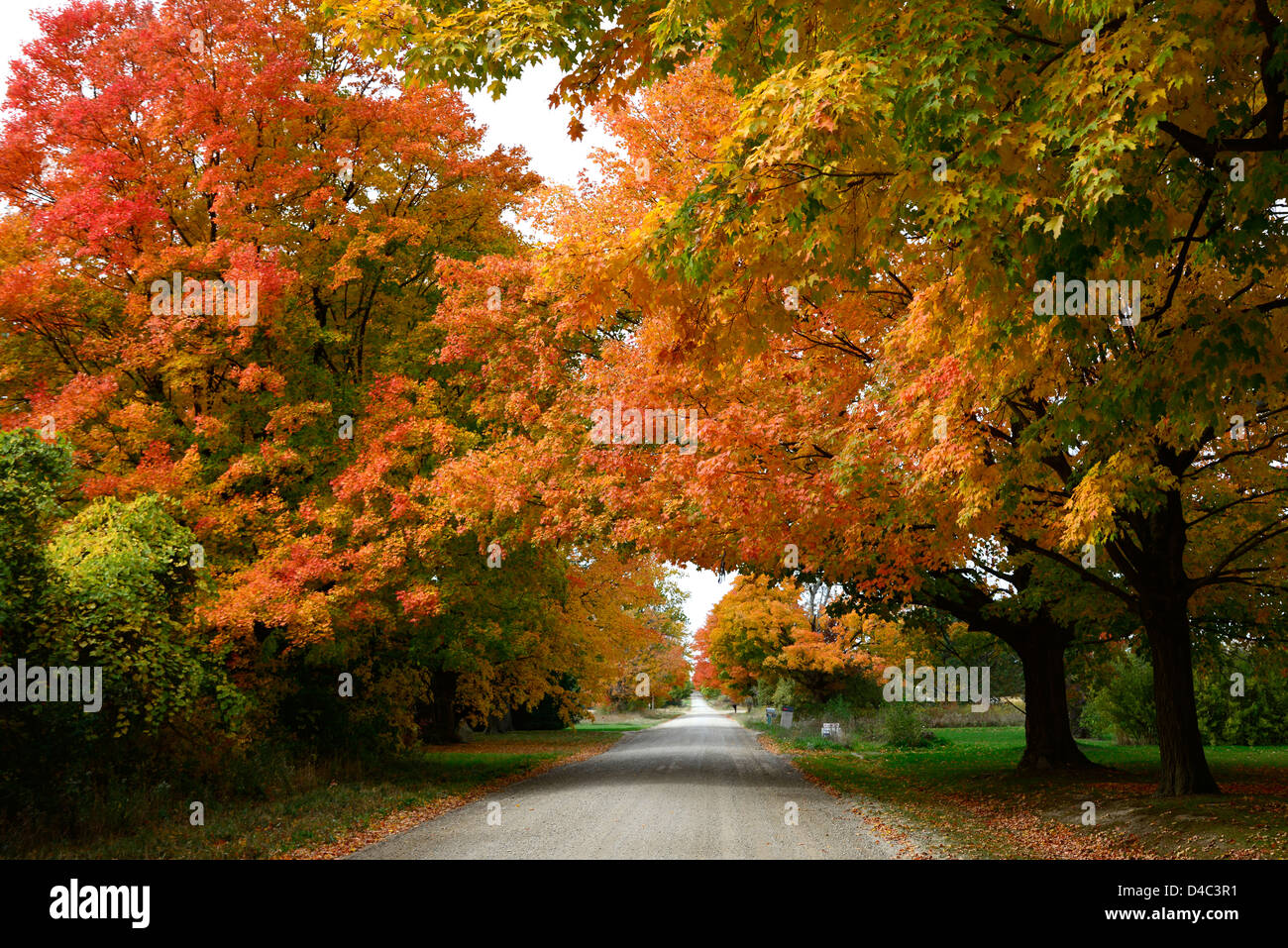 Ohio autumn display hi-res stock photography and images - Alamy