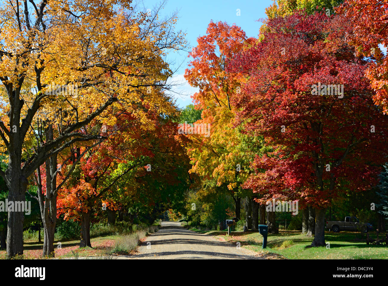 Leavesamerica High Resolution Stock Photography and Images - Alamy