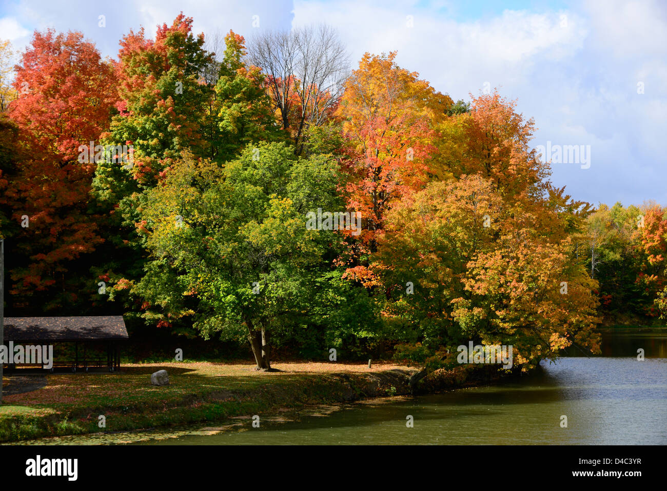 Colorful Fall Color Display along river autumn Michigan Stock Photo - Alamy