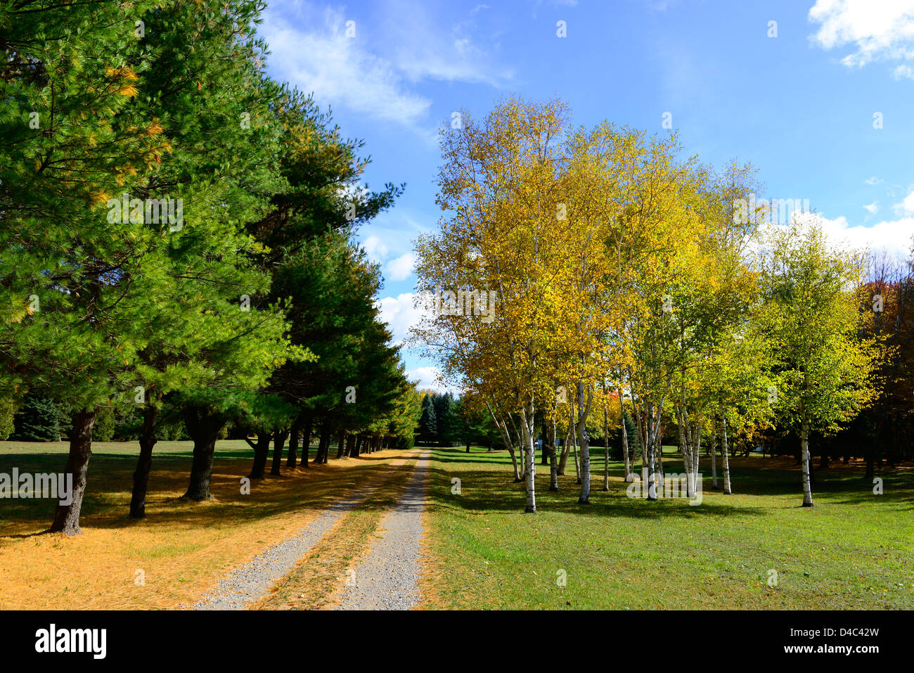 Country road with colorful fall leaves autumn trees Wisconsin Stock ...