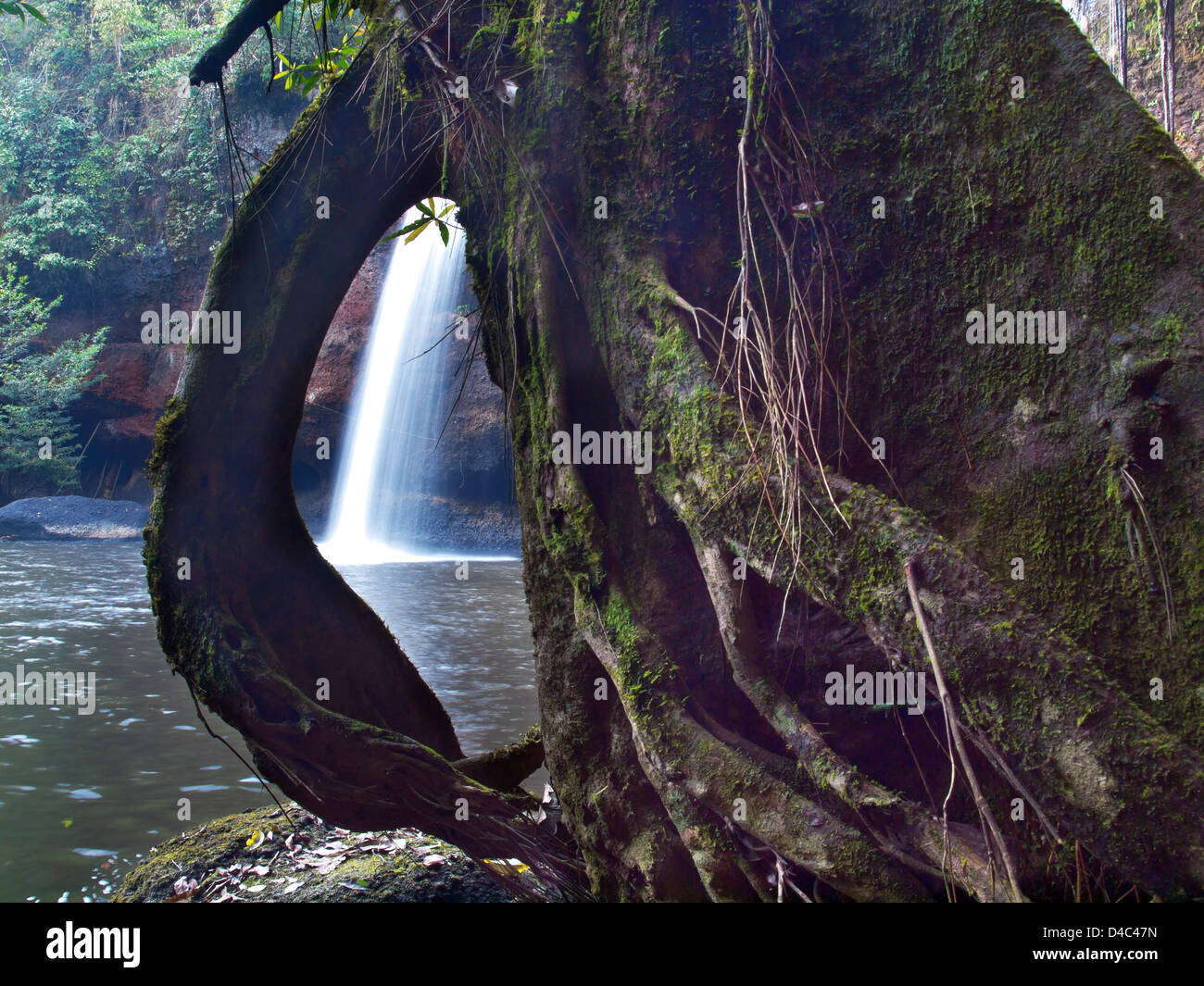 Waterfall in deep forest Stock Photo - Alamy