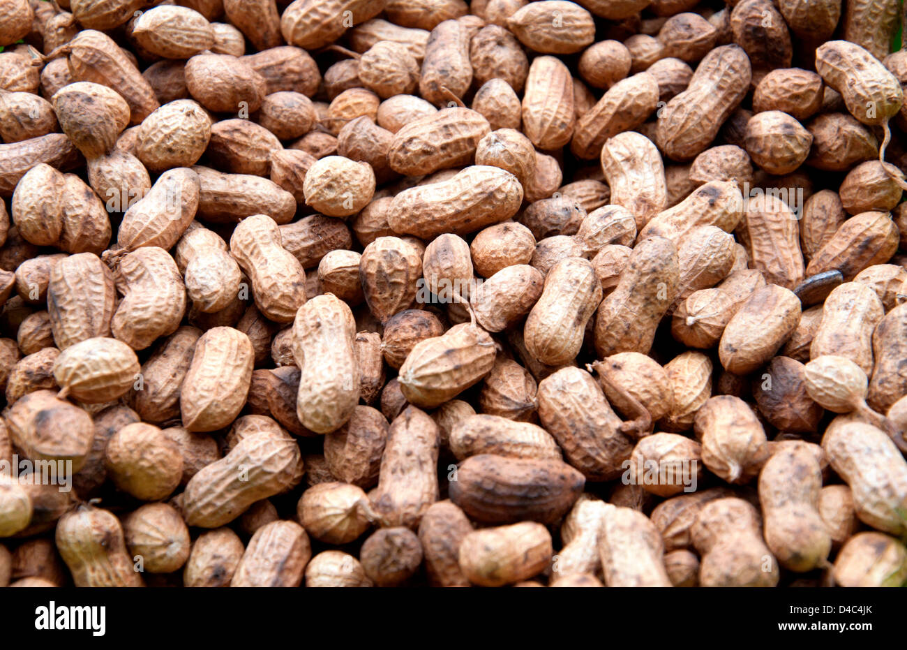 Fry peanut hi-res stock photography and images - Alamy