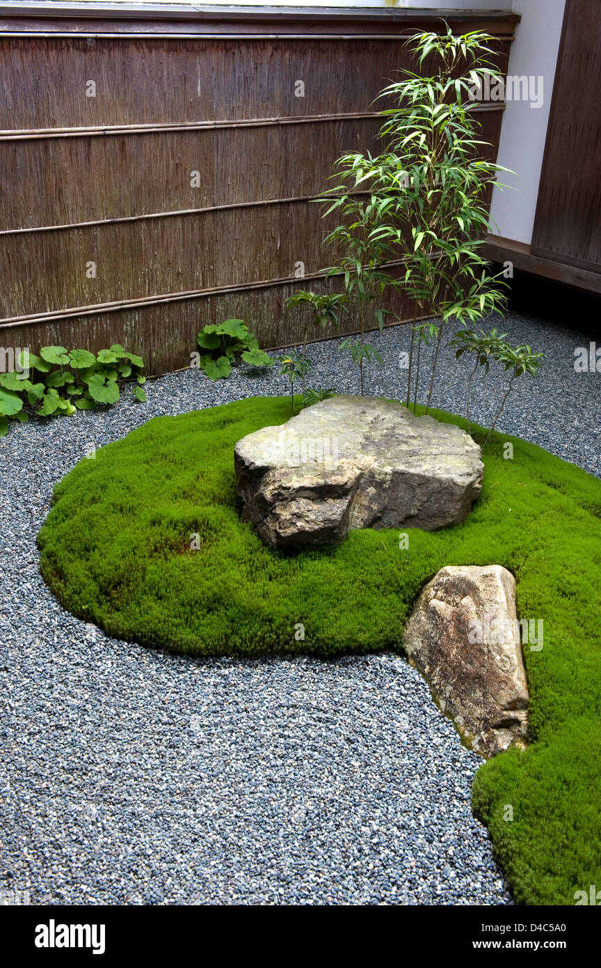 Miniature moss landscape interior hi-res stock photography and images ...