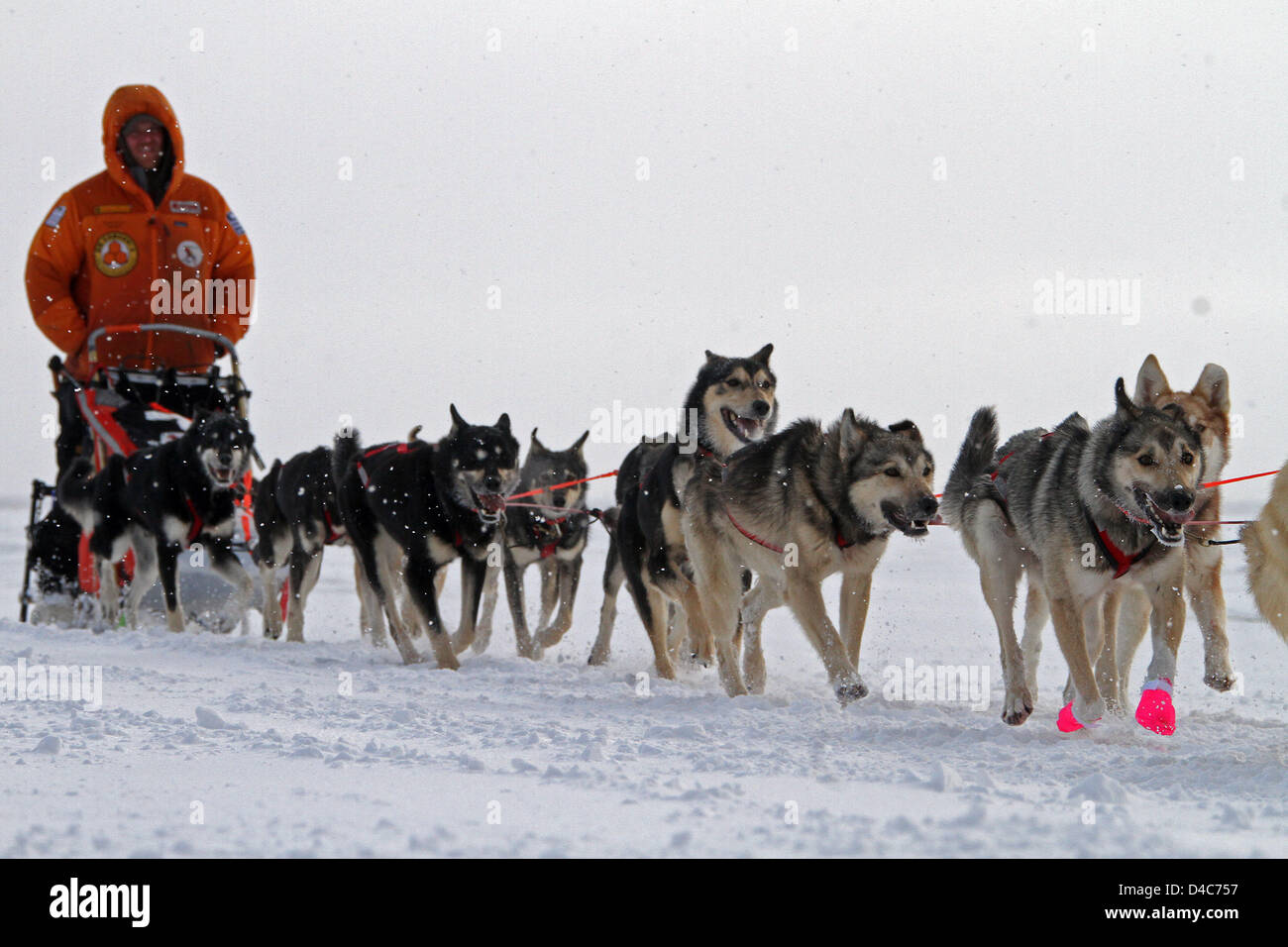 Jake berkowitz hi-res stock photography and images - Alamy