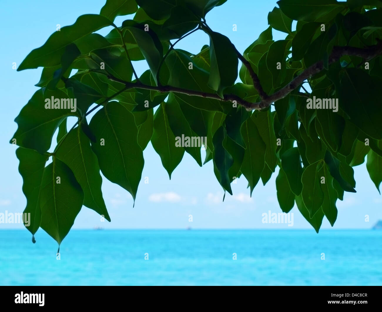 Beautiful sea view Stock Photo - Alamy