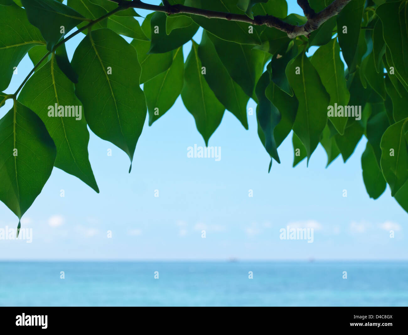Beautiful sea view Stock Photo - Alamy
