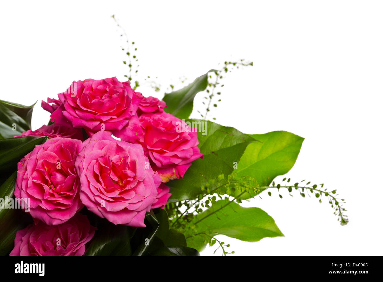decoration for greeting card from the pink roses Stock Photo - Alamy