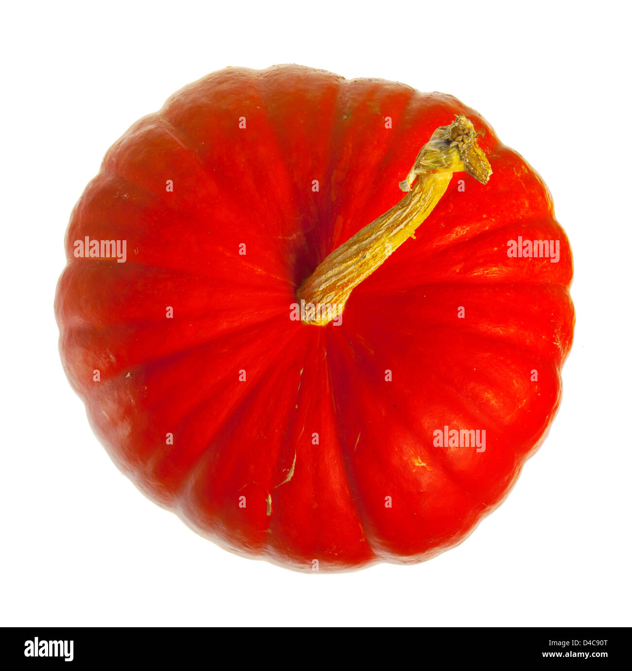 Pumpkin tail hi-res stock photography and images - Alamy