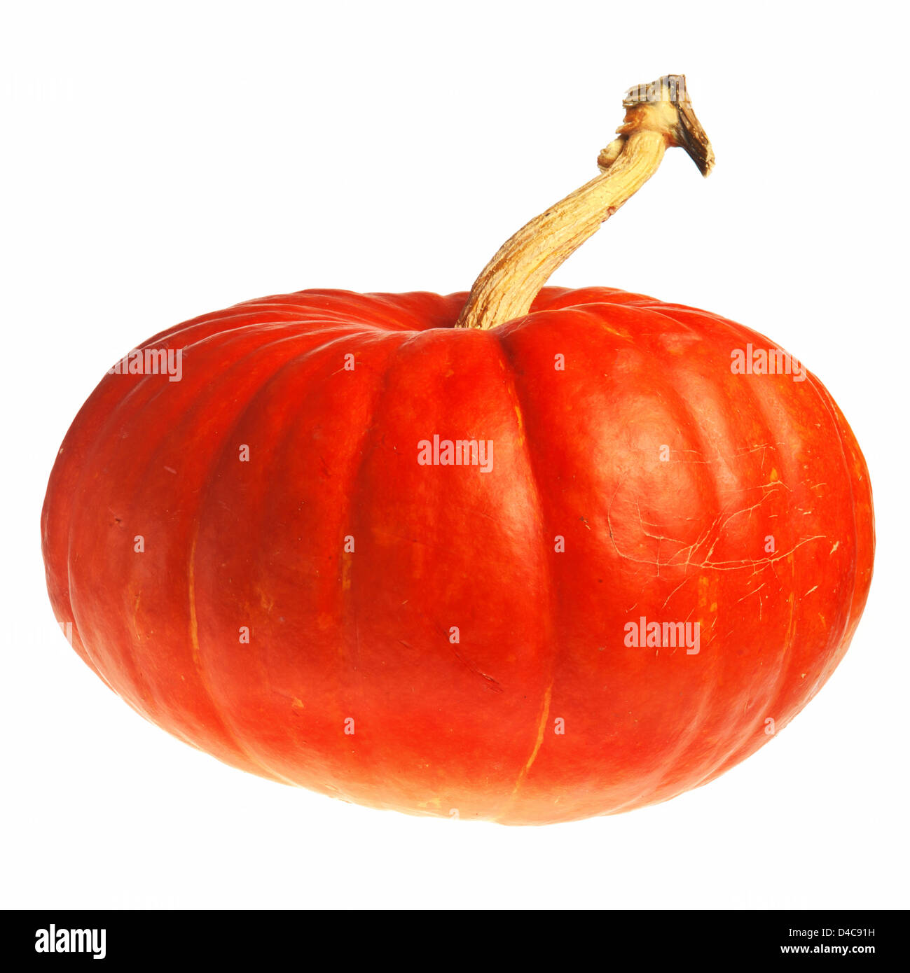 Pumpkin tail hi-res stock photography and images - Alamy