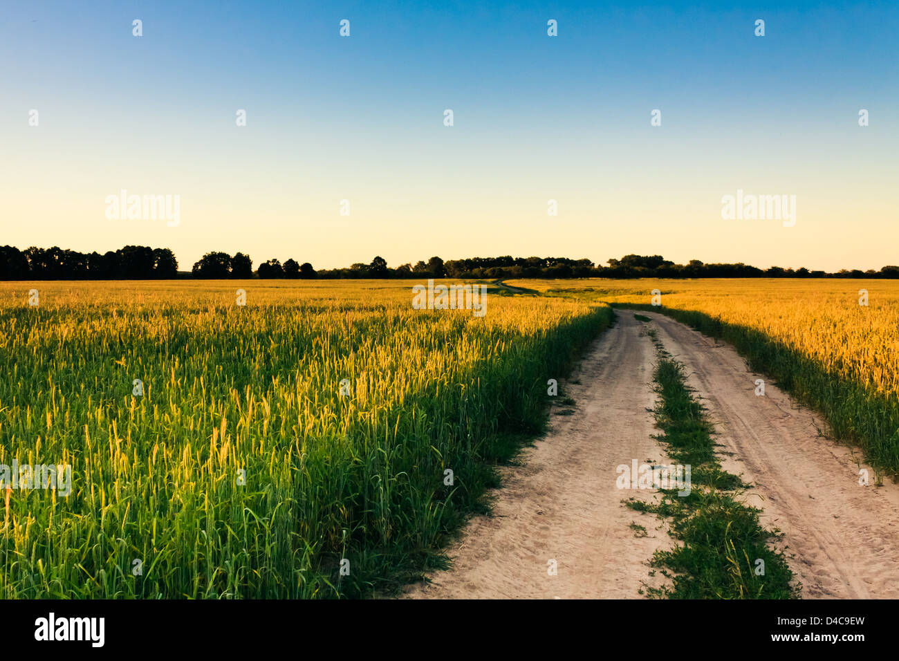 Dirty Rural Road In Countryside Stock Photo - Alamy