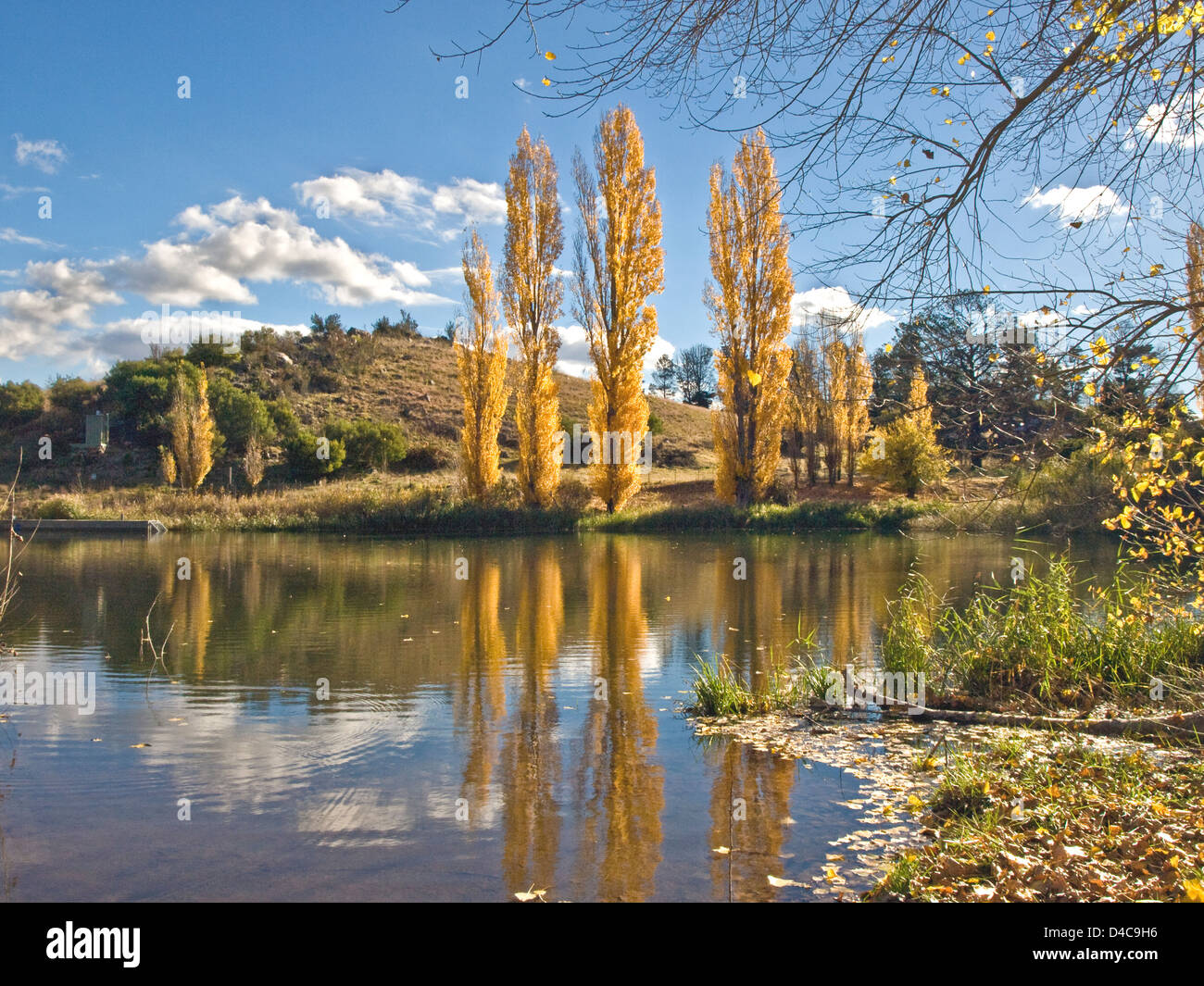 Snowy River, Dalgety, Snowy Mountains, NSW, Australia Stock Photo - Alamy