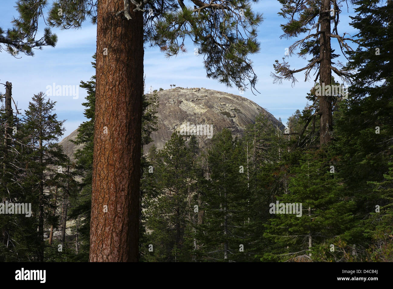 'Sentinel Dome' is pictured at Yosemite National Park in California ...