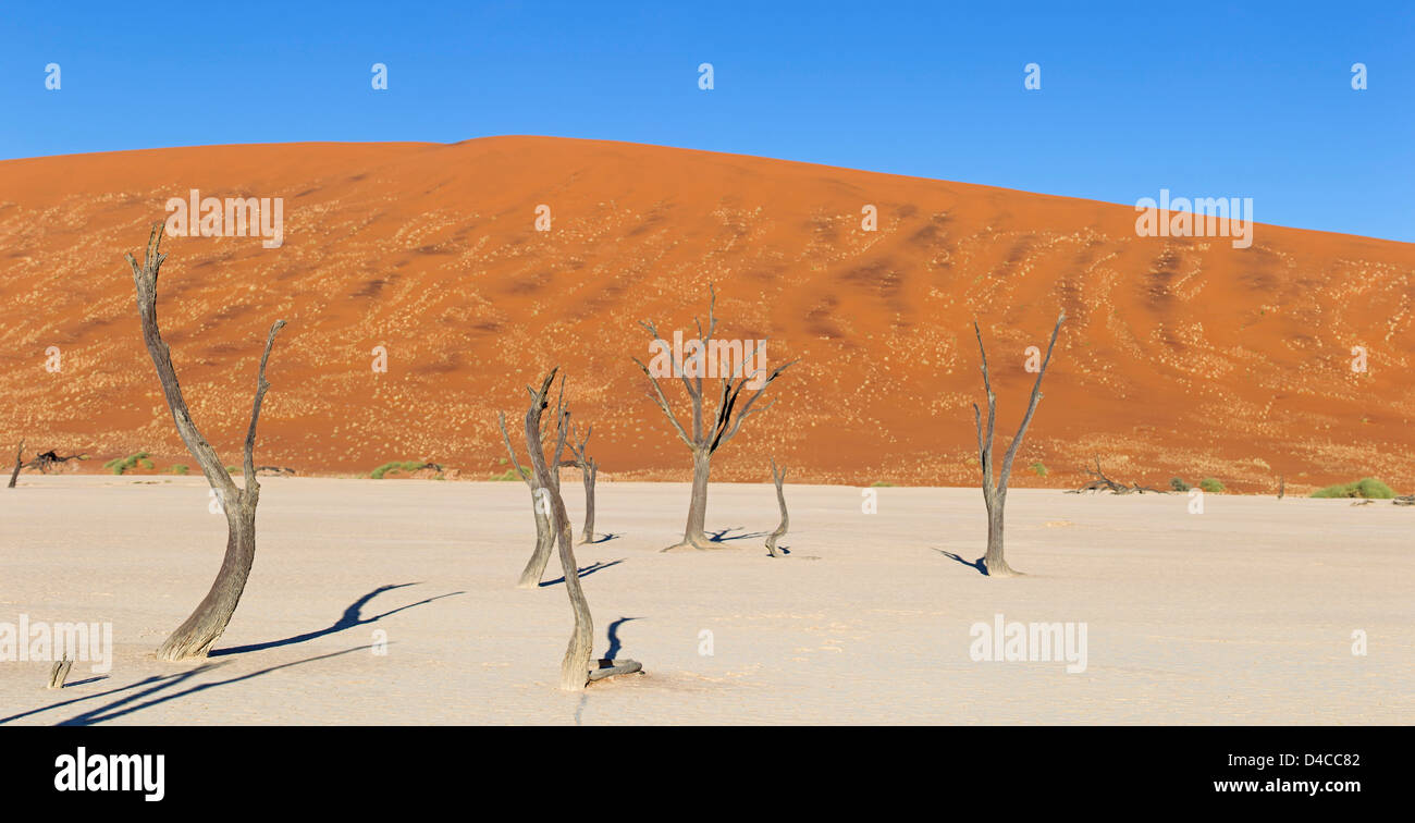 The republic namibia hi-res stock photography and images - Alamy