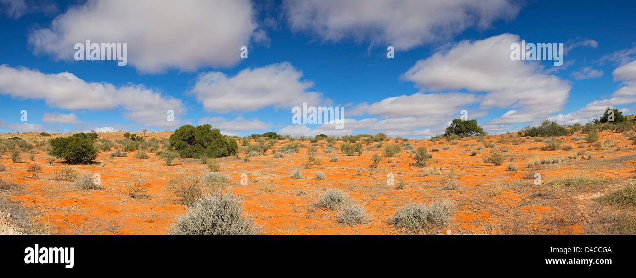 Landscape, South Africa, Africa Stock Photo - Alamy