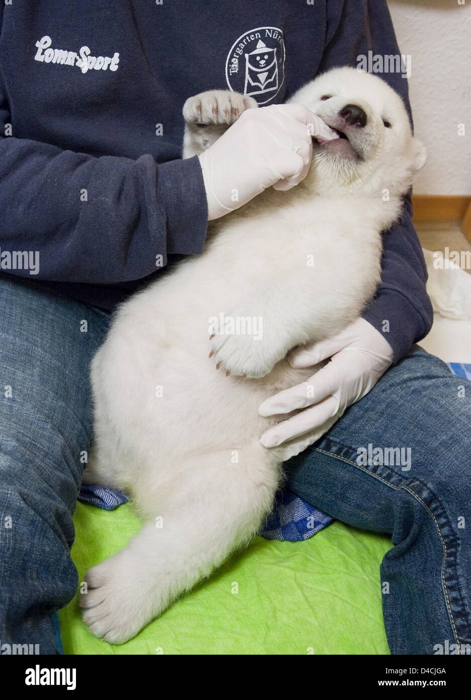 The handout released by the City of Nuremberg on 07 Ferbuary 2008 shows ...