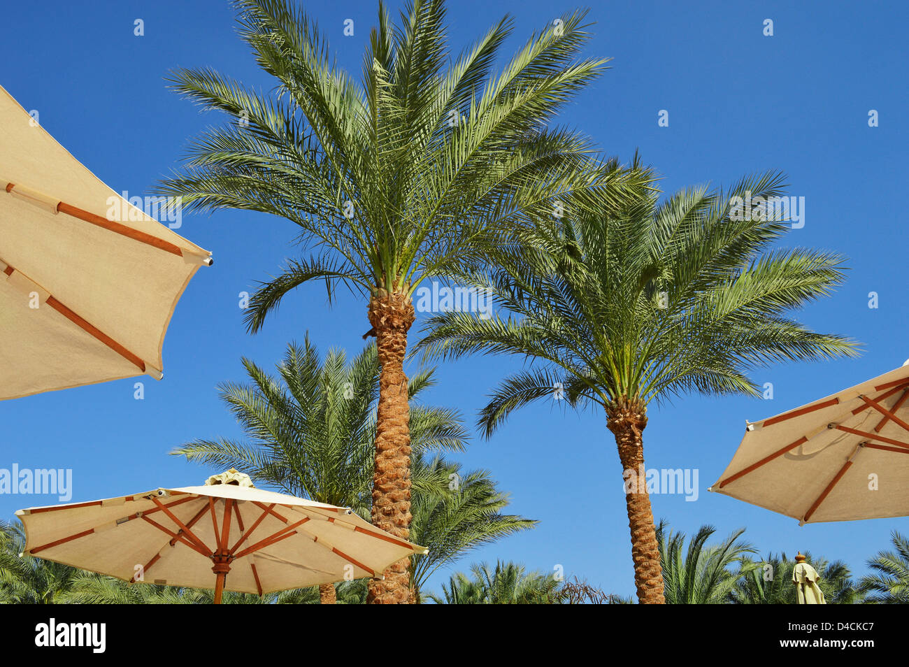 Sea beach during hot summer day Stock Photo - Alamy