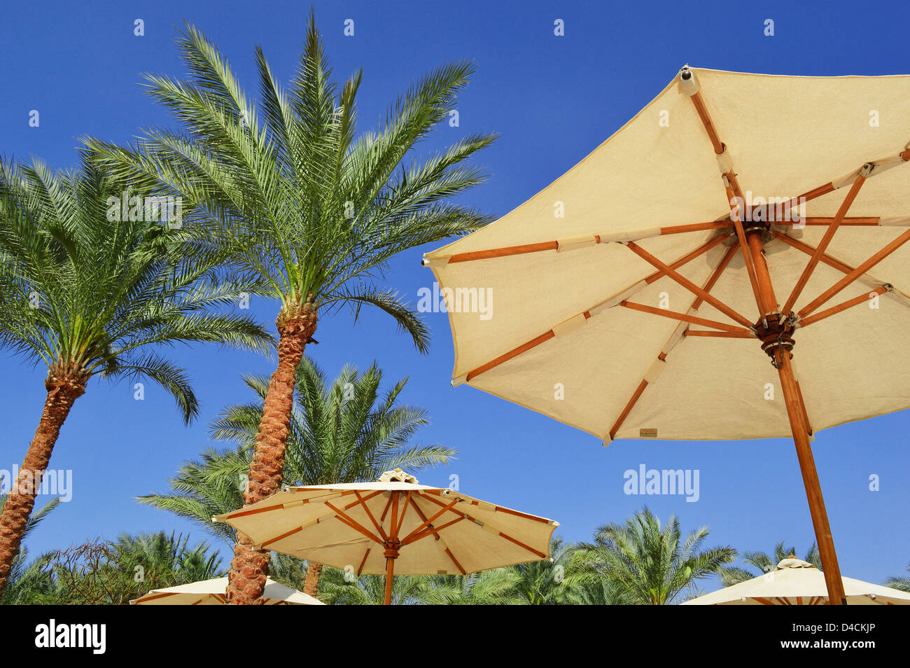 Sea beach during hot summer day Stock Photo - Alamy