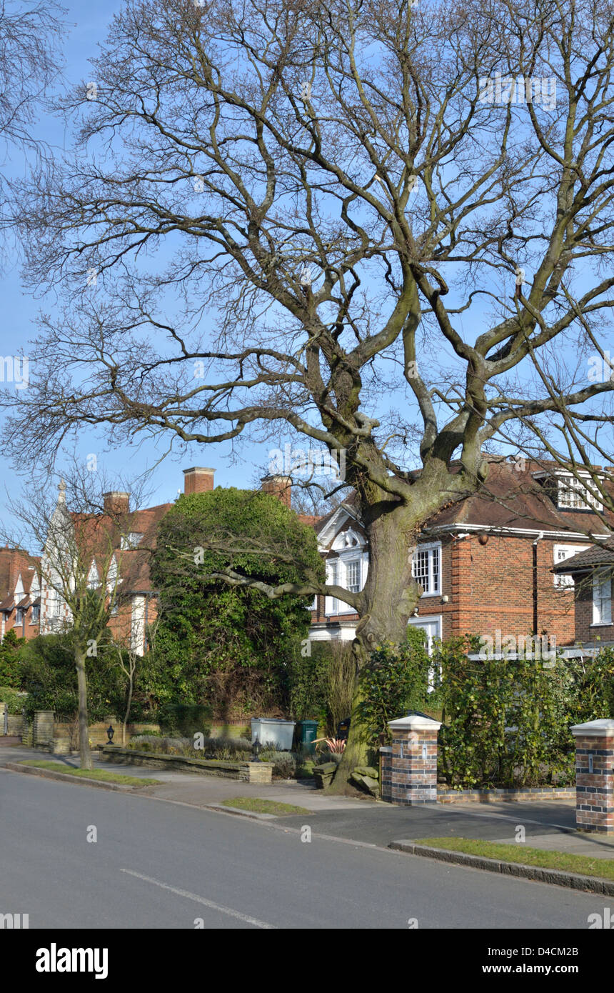 Winnington hi-res stock photography and images - Alamy