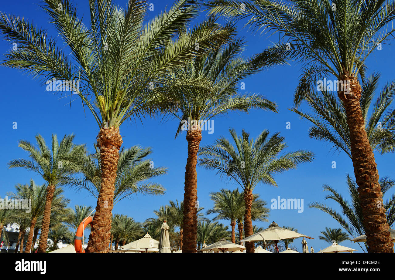 Sea beach during hot summer day Stock Photo - Alamy