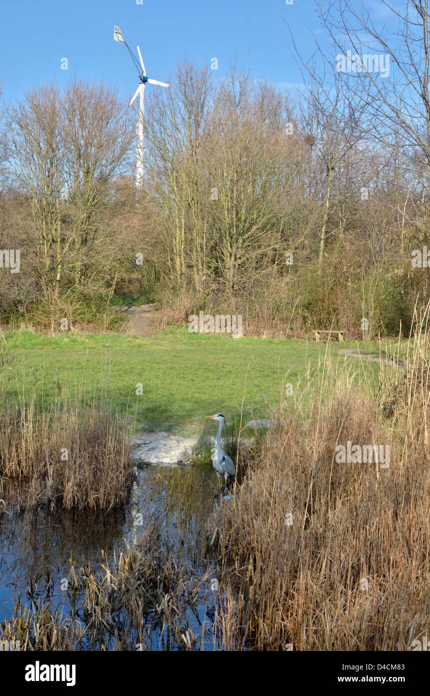 Stave Hill Ecology Park, Rotherhithe, London, UK Stock Photo - Alamy