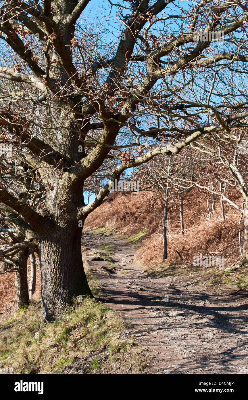 Side of footpath hi-res stock photography and images - Alamy