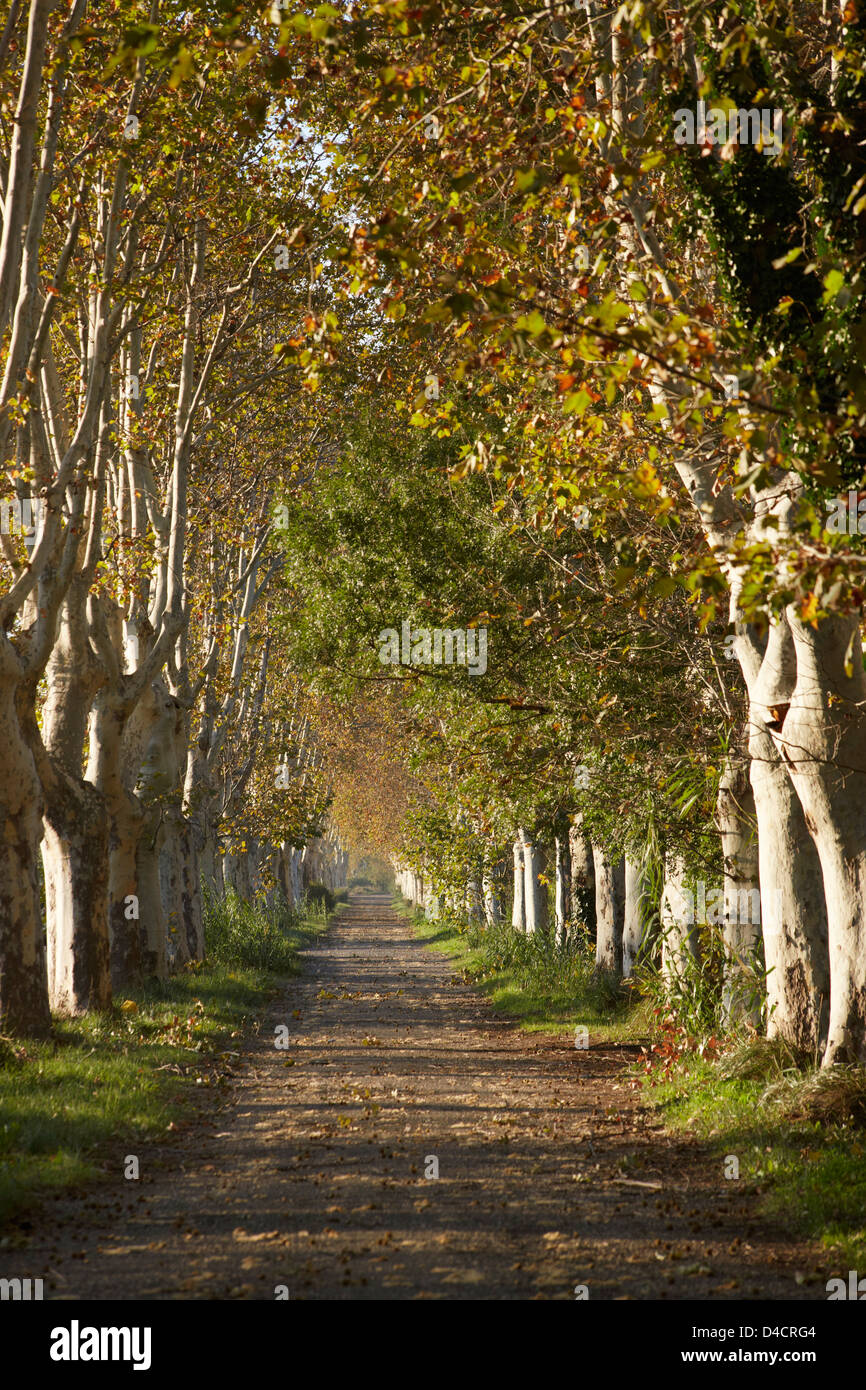 Saint remy de provenc hi-res stock photography and images - Alamy