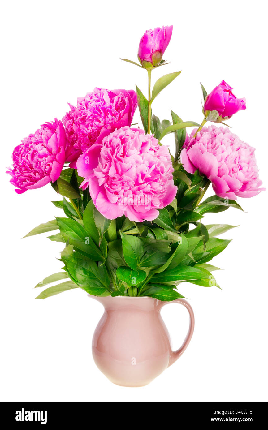 Minimalistic mourning mournful bouquet isolated - six pink fresh ...