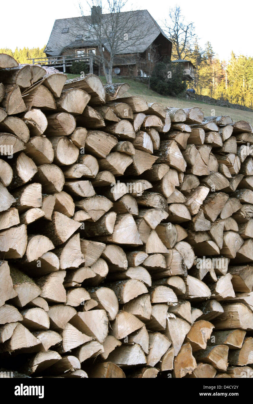 A stack of firewood is pictured in front of a house in Schiltach in the ...