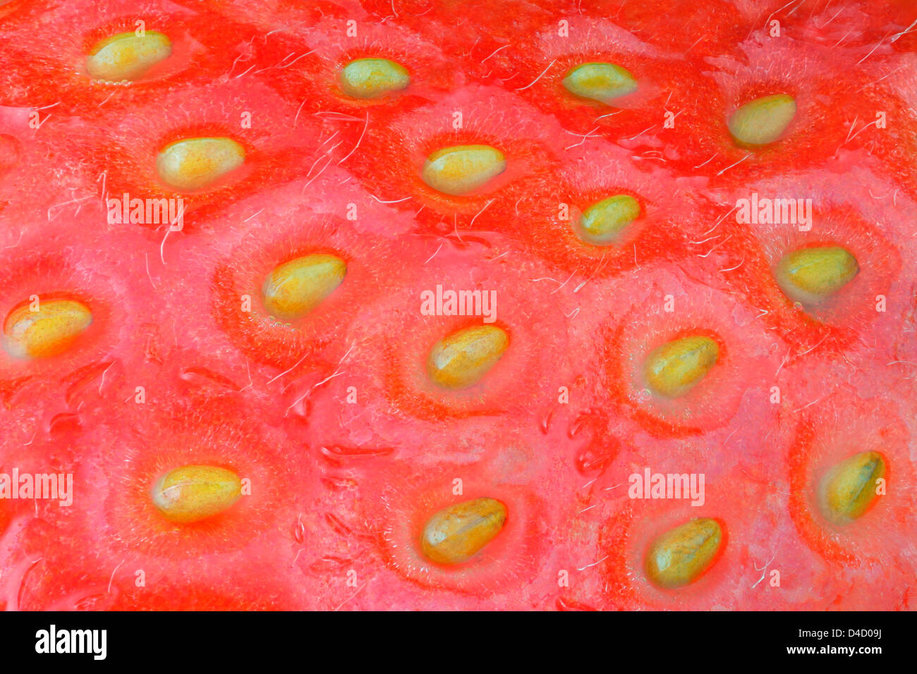 Strawberry, extreme close-up Stock Photo - Alamy