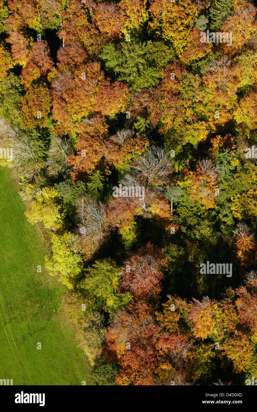 Aerial view forest edge hi-res stock photography and images - Alamy
