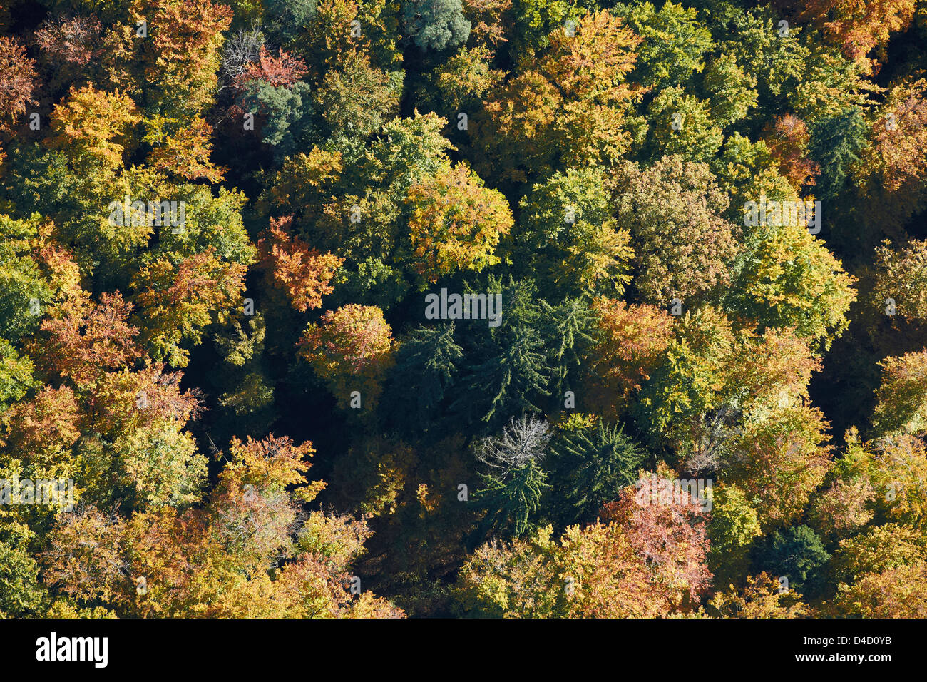 Aerial photograph of autumn trees hi-res stock photography and images ...