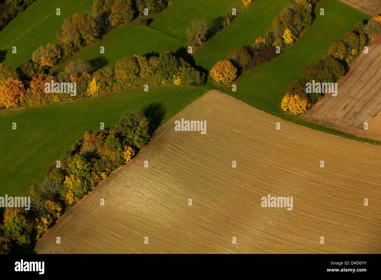 Bushes and fields in autumn, aerial photo Stock Photo - Alamy