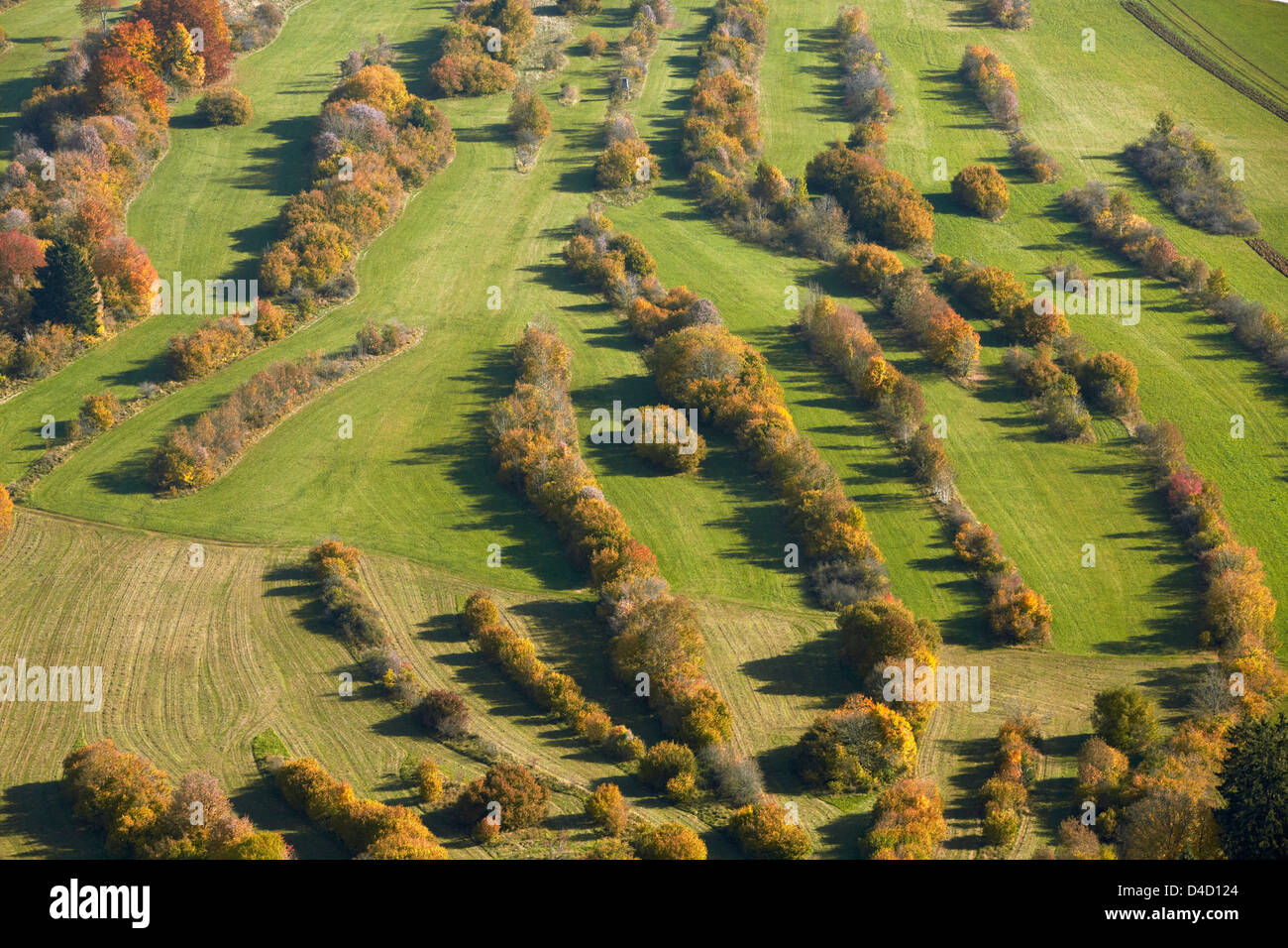 Autumn rows hi-res stock photography and images - Alamy