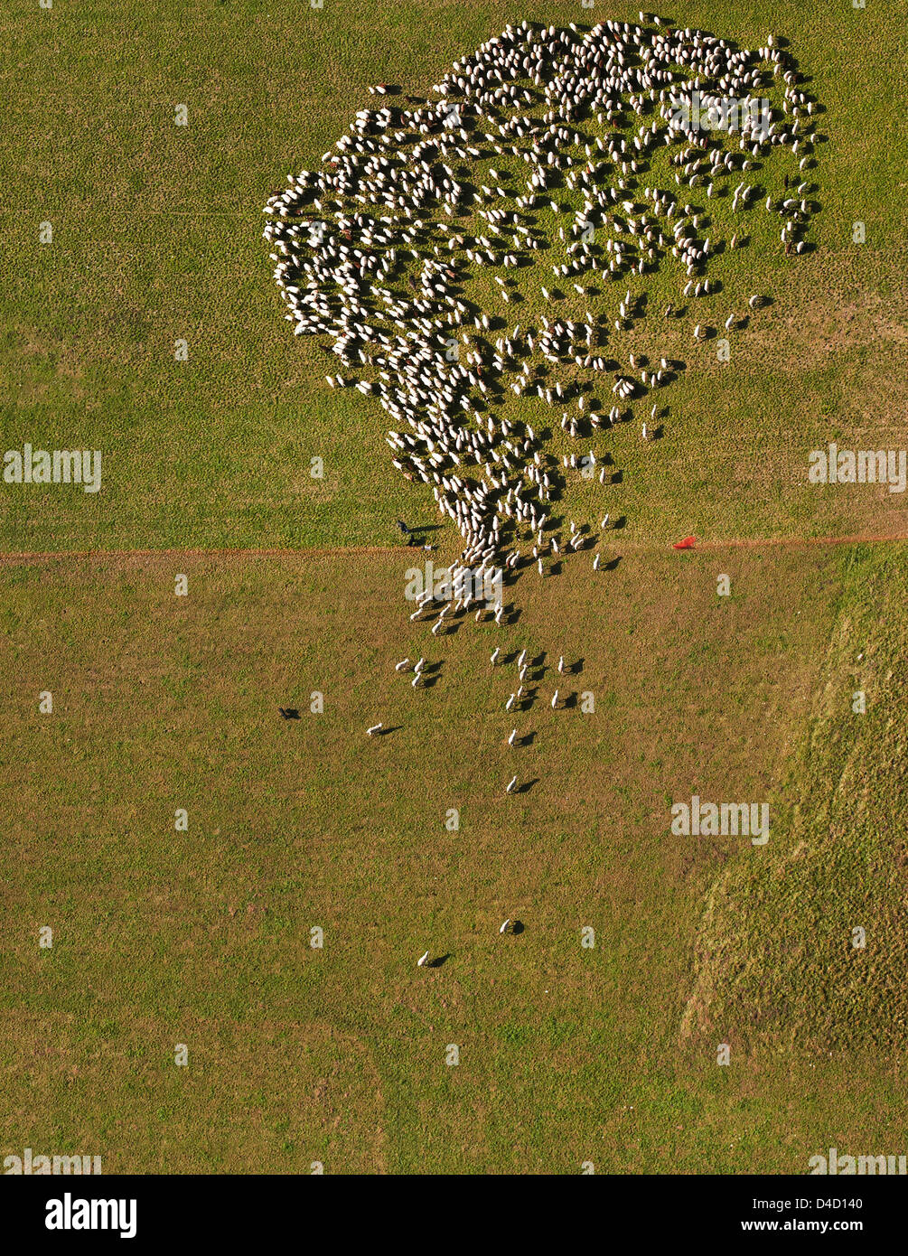 Aerial herding hi-res stock photography and images - Alamy