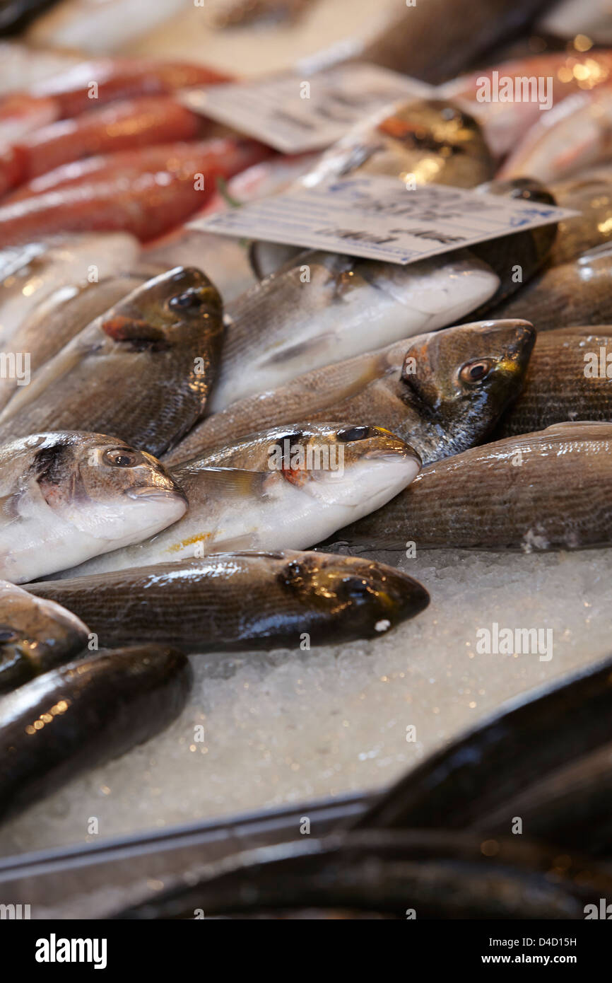 Fish market concept hi-res stock photography and images - Alamy