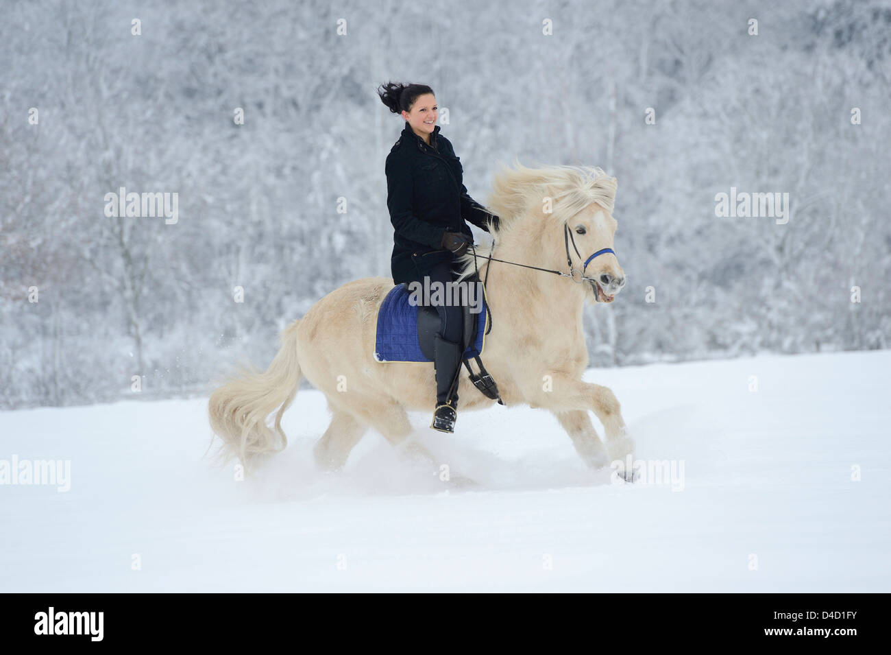 Woman Riding Horse In Snow High Resolution Stock Photography and Images ...