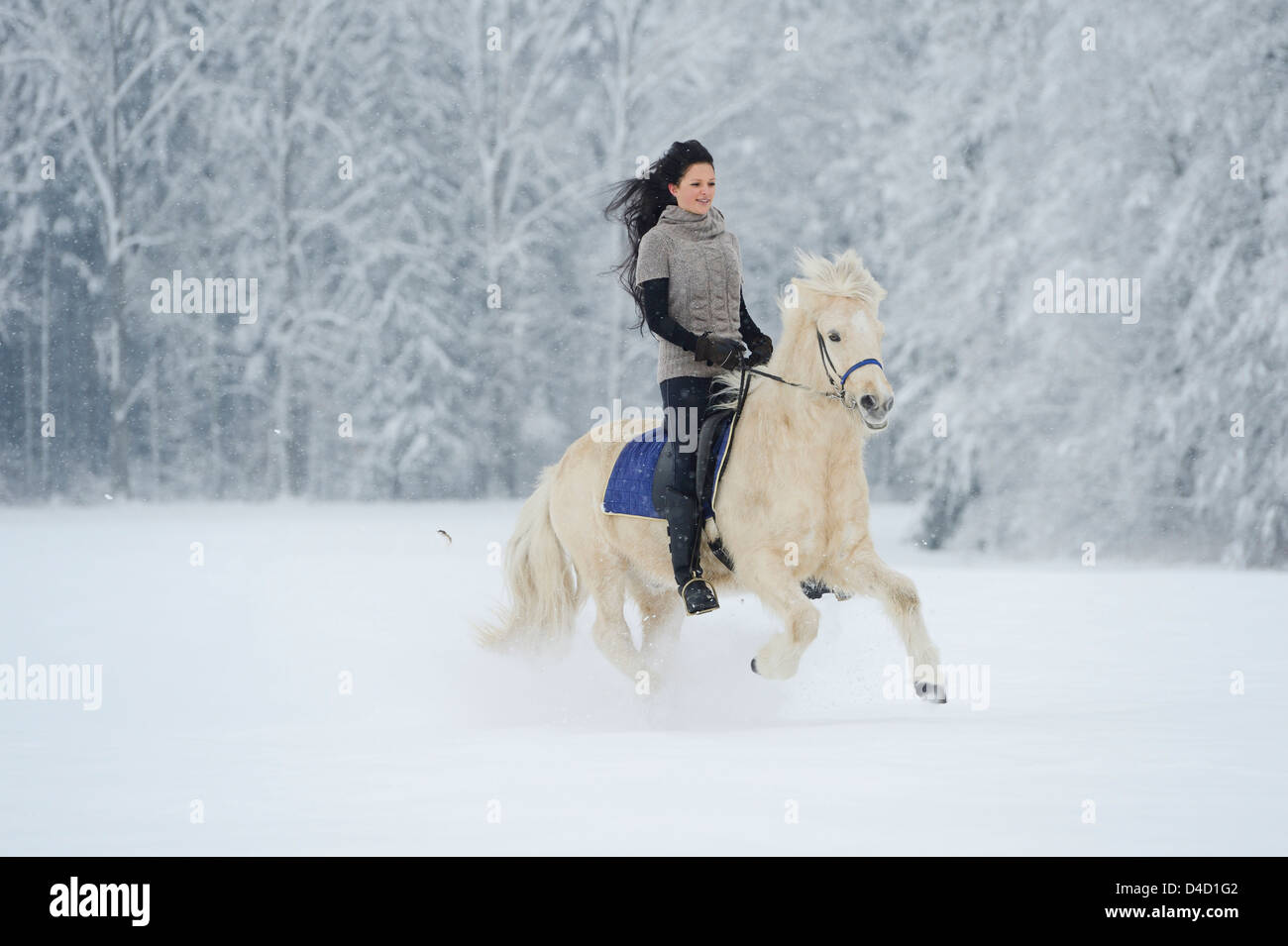 Riding on horse hi-res stock photography and images - Alamy