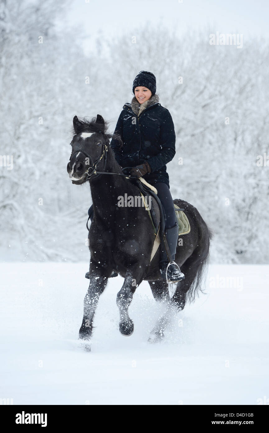 Riding horse in snow hi-res stock photography and images - Alamy