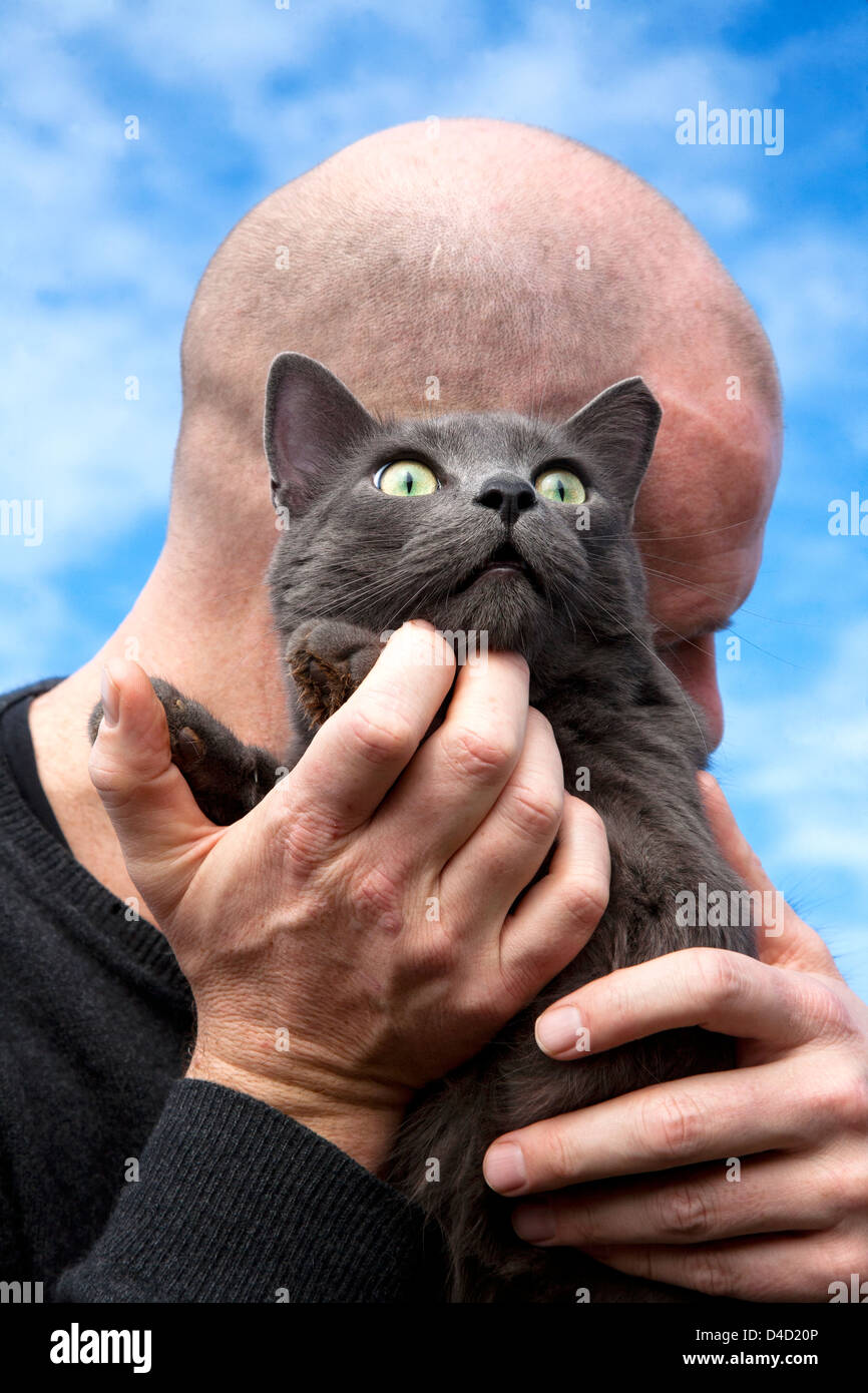 Man holding Russian blue cat Stock Photo - Alamy