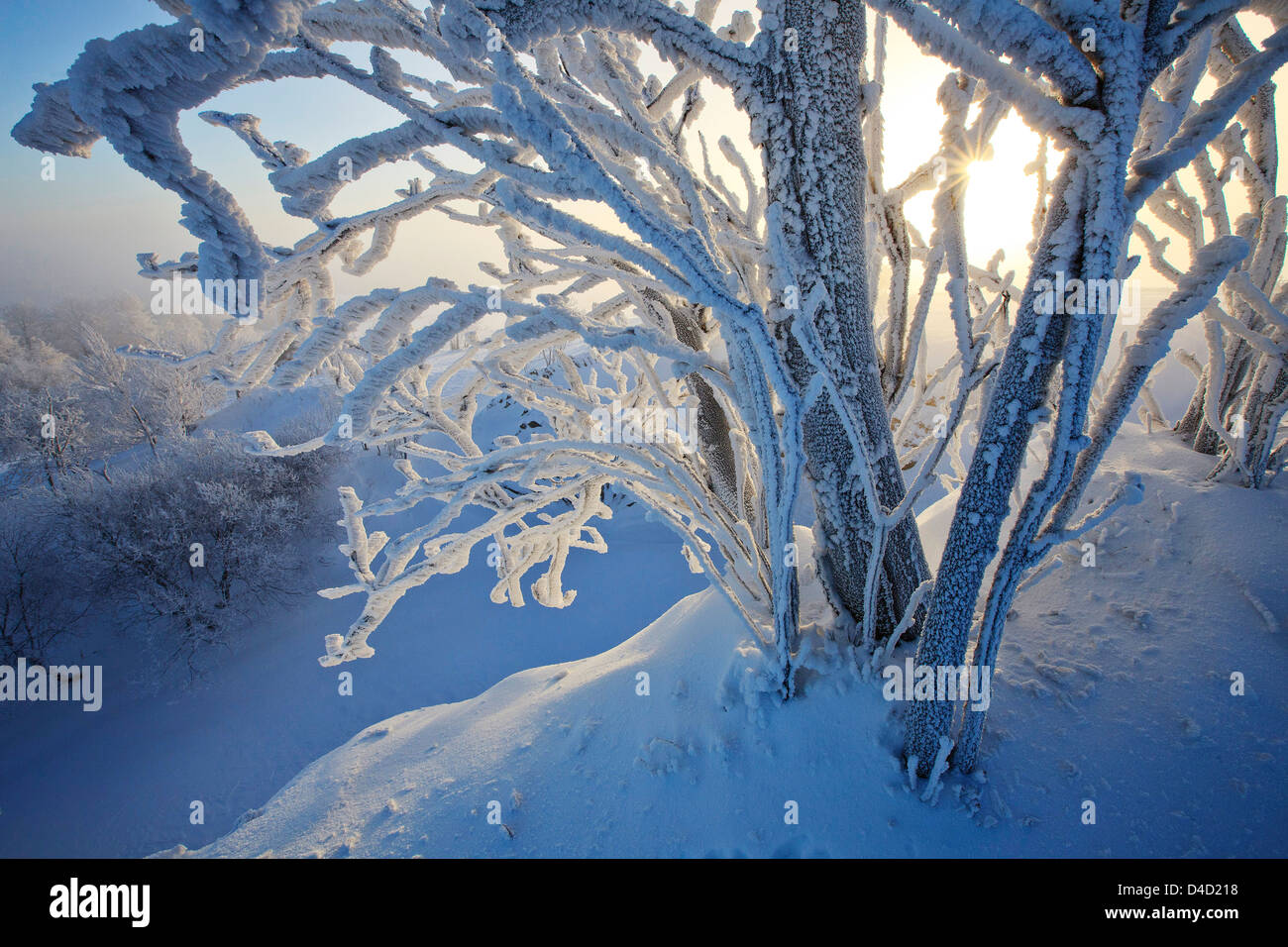 Erzgebirge High Resolution Stock Photography and Images - Alamy