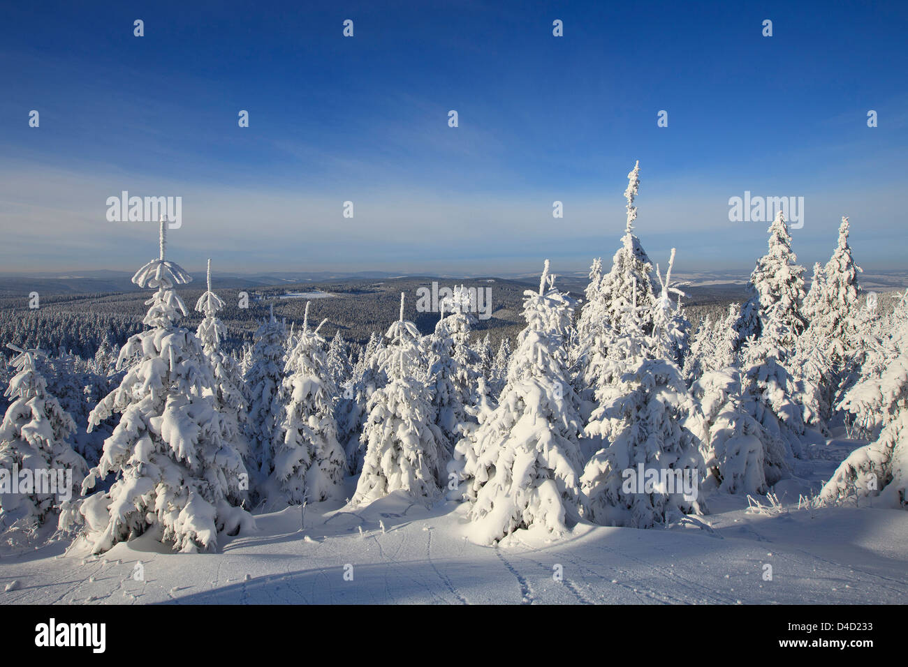 Fichtelberg hi-res stock photography and images - Alamy