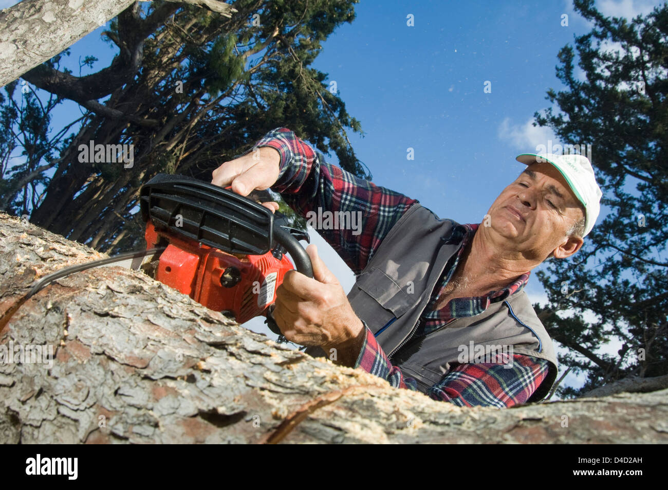 Man sawing log Stock Photo - Alamy