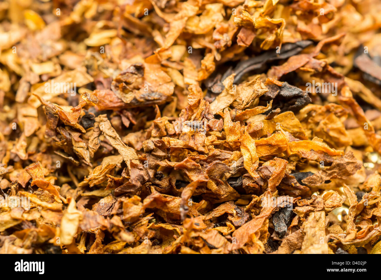 Raw tobacco leaf hi-res stock photography and images - Alamy