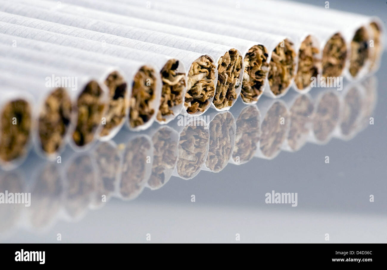 The tobacco part of cigarettes pictured in Frankfurt Main, Germany, 09 ...