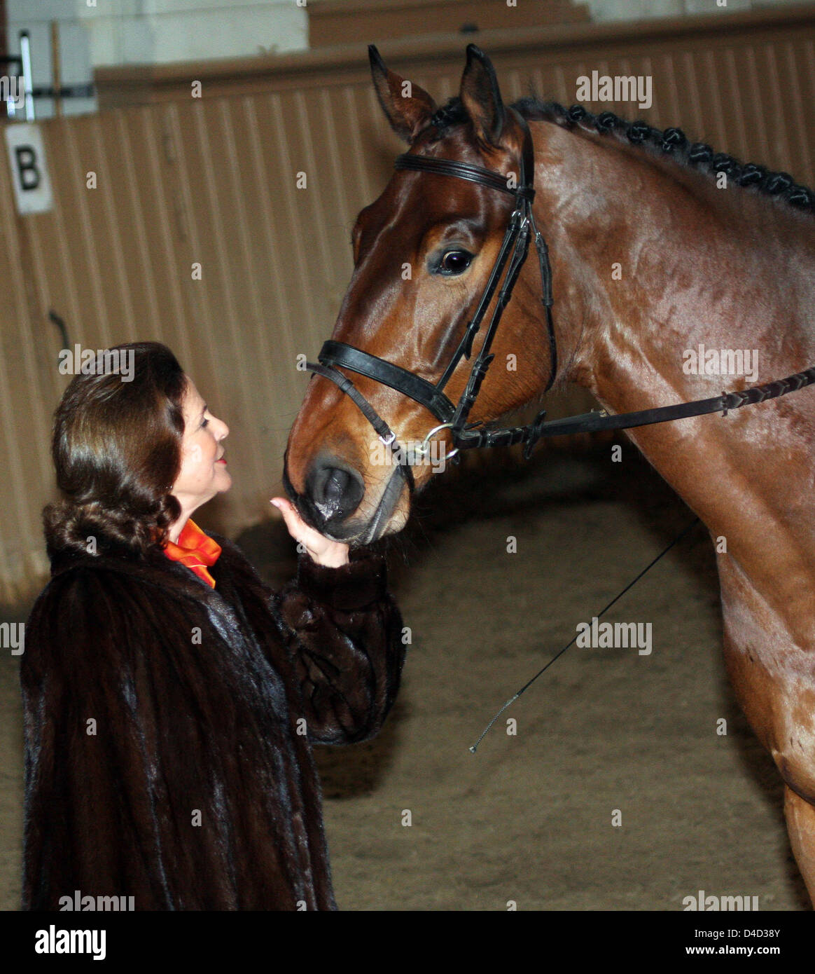 Queen Silvia of Sweden pets a horse during a tour of the royal stables ...
