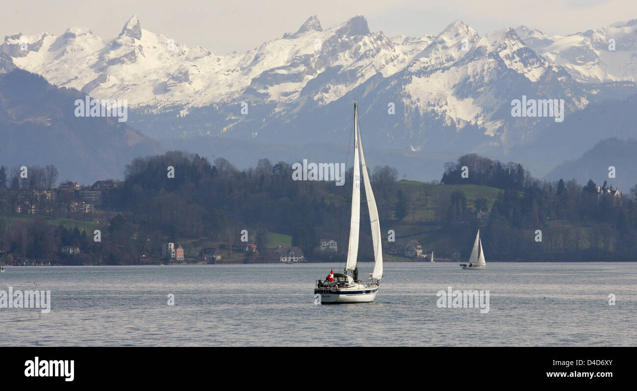 Sailing boats are pictured on Lake Lucerne in front of an Alpes ...