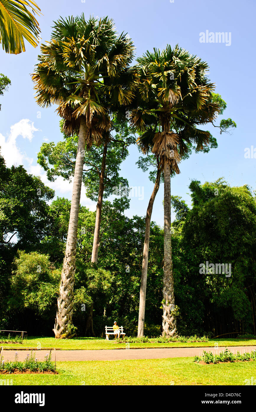 Over 4000 native species hi-res stock photography and images - Alamy