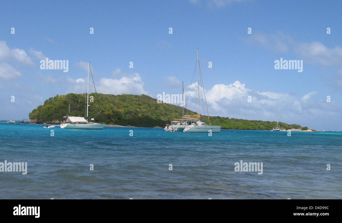 The picture shows Petit Rameau of the Tobago Cays, Saint Vincent and ...